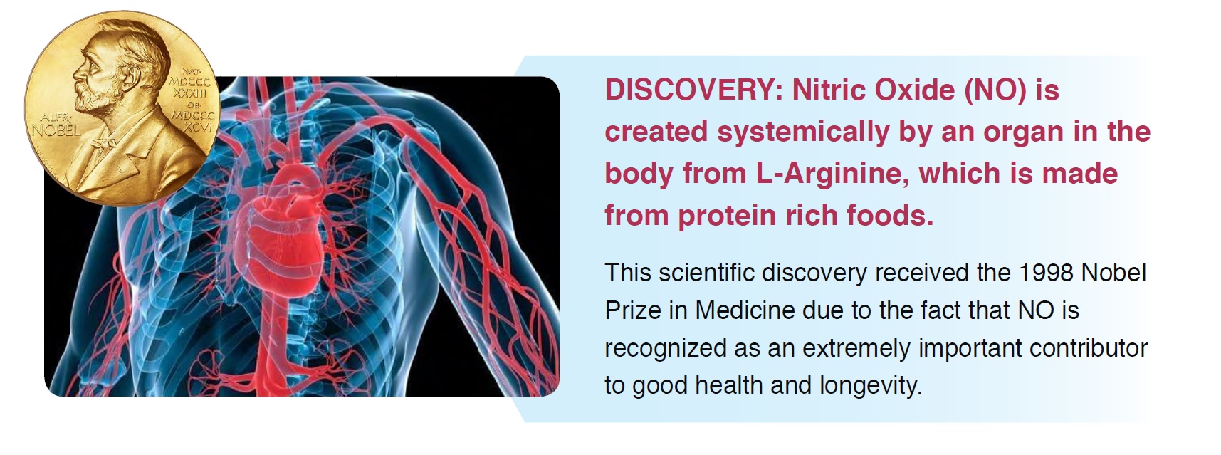 89 Research Verified, Benefits of L-Arginine - Cardio & Heart Wellness